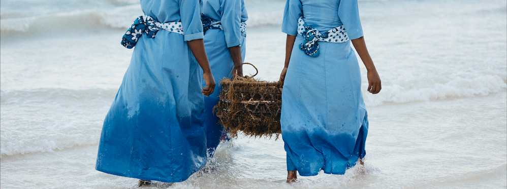 From Source to Product | Mwani Zanzibar