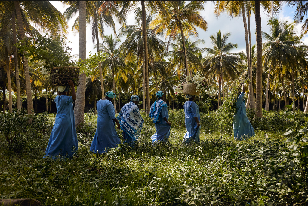 The Mwani Zanzibar Mamas